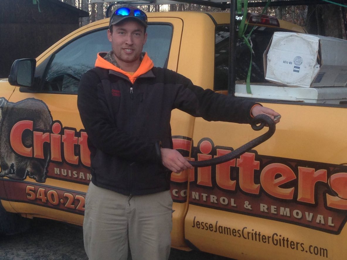 Wildlife Control and Removal - Jesse James Critter Gitters