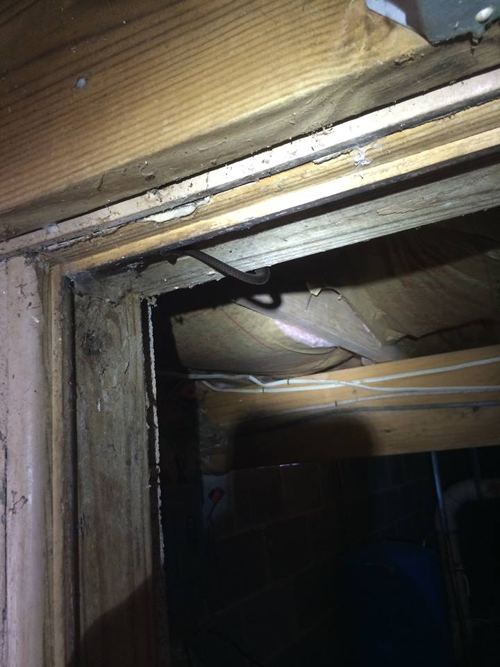 Proffessional Snake Proofing - Jesse James Critter Gitters